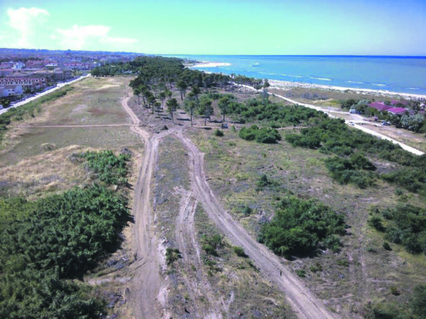 Lavori alla pineta, sequestri e denunce | PrimoPiano Molise