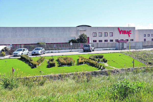 Chiusa la partita Vibac, i licenziamenti sono 43 | PrimoPiano Molise